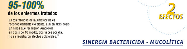 Amoxidal Dúo Respiratorio